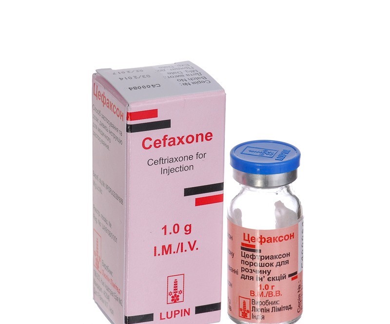 Cefaxone powder for injection 1 fl 1 g Ceftriaxonum Lupin Цефаксон ...